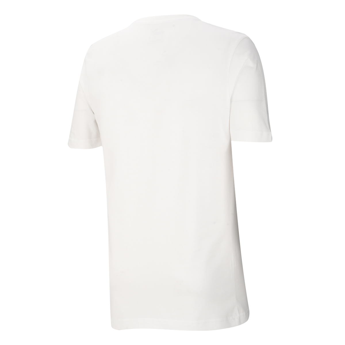 Remera Puma Graphics Circular Hombre Moov 